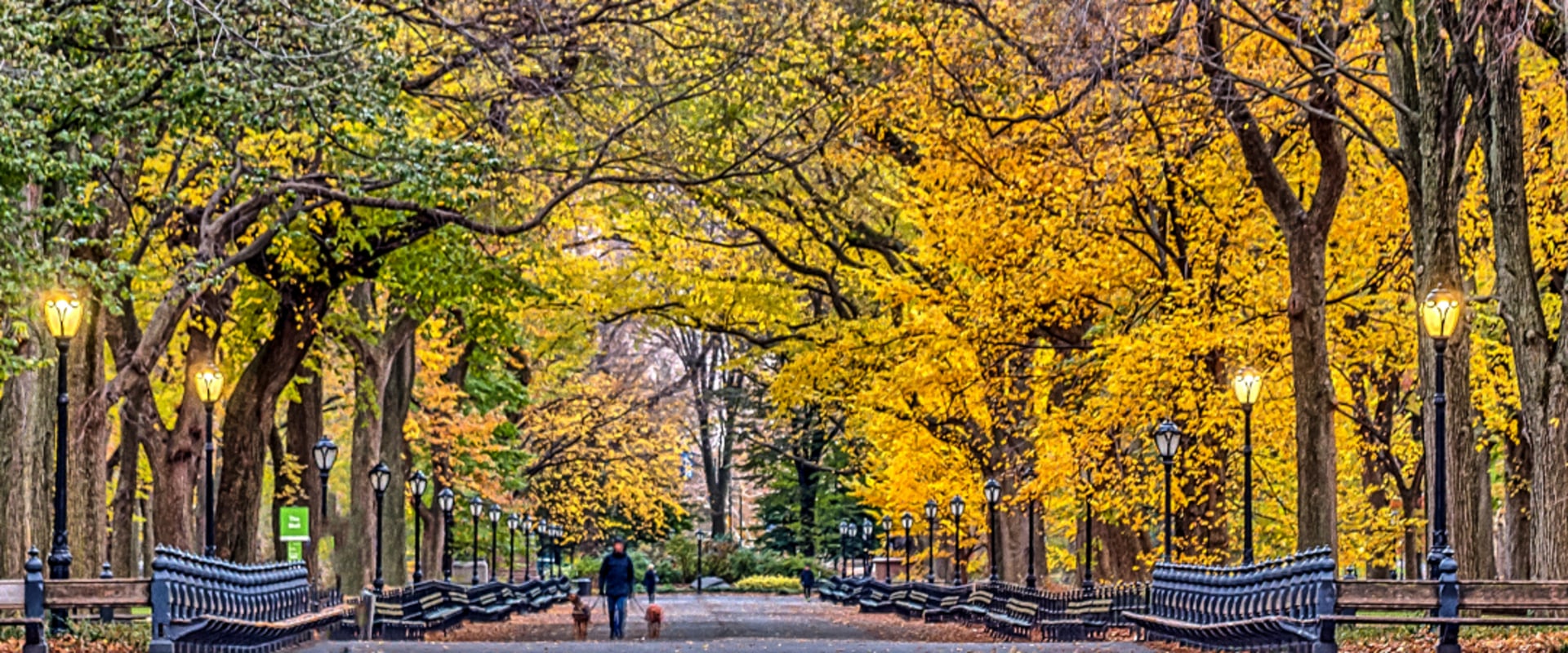 Exploring Access to Parks and Recreation in Bucks County: A ...